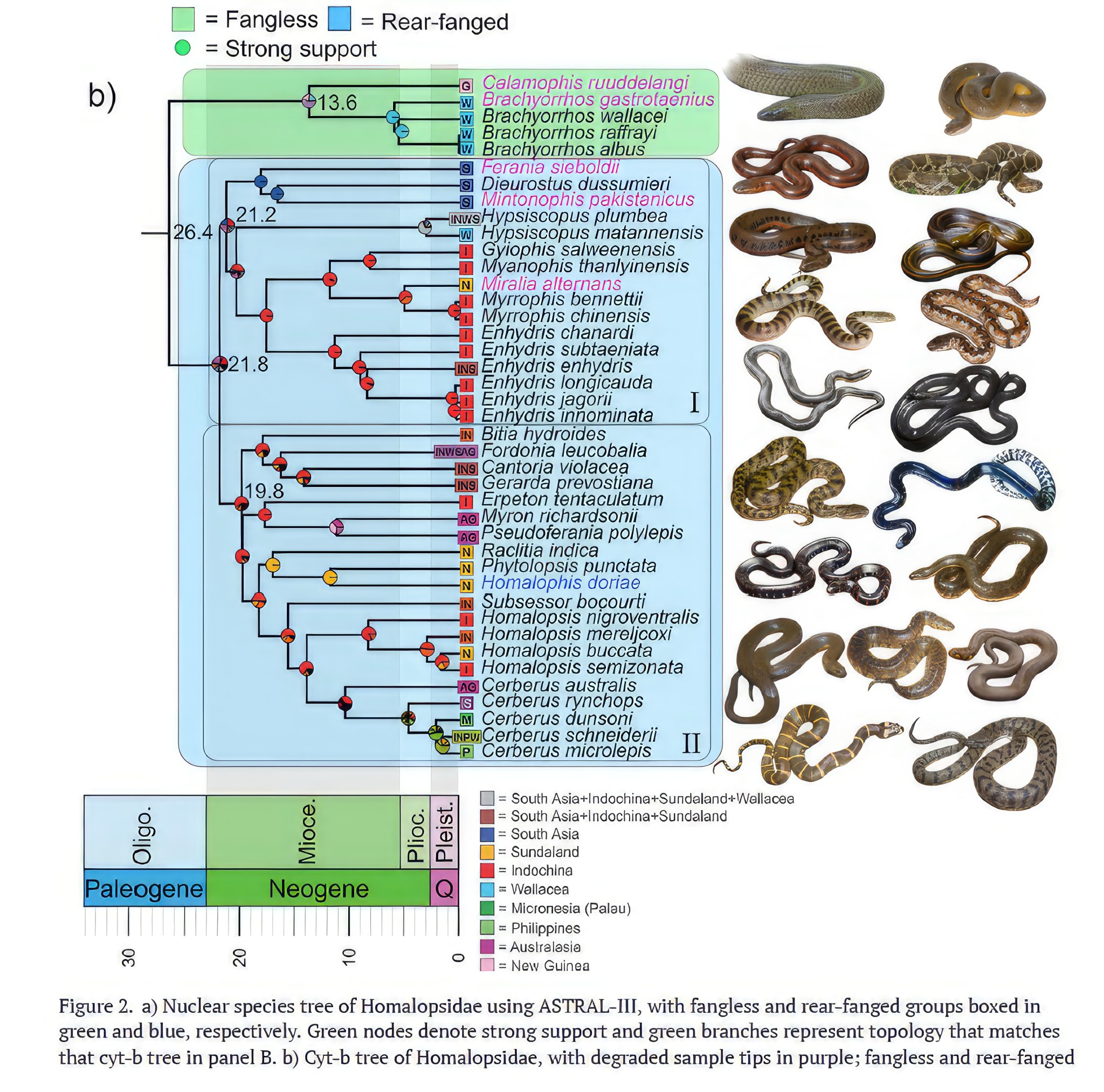 Natural History collections are more important now than they were 10 ...